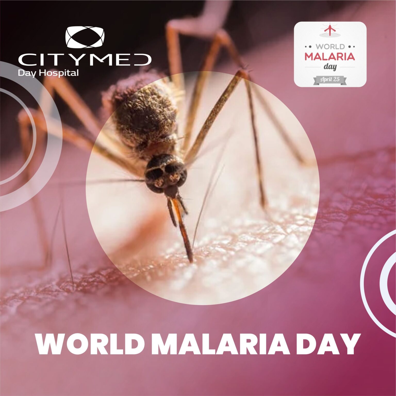 World Malaria Day - CityMed